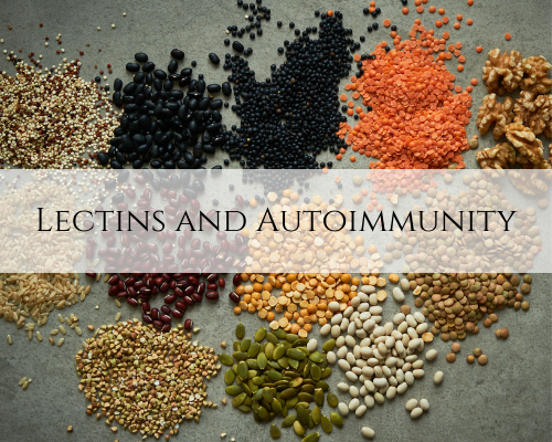 Lectins: This Common Food Protein May Contribute to Autoimmune Diseases